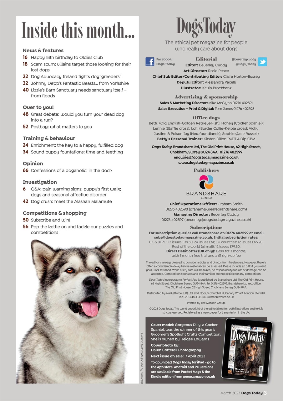 Dogs Today Magazine - March 2023 Back Issue