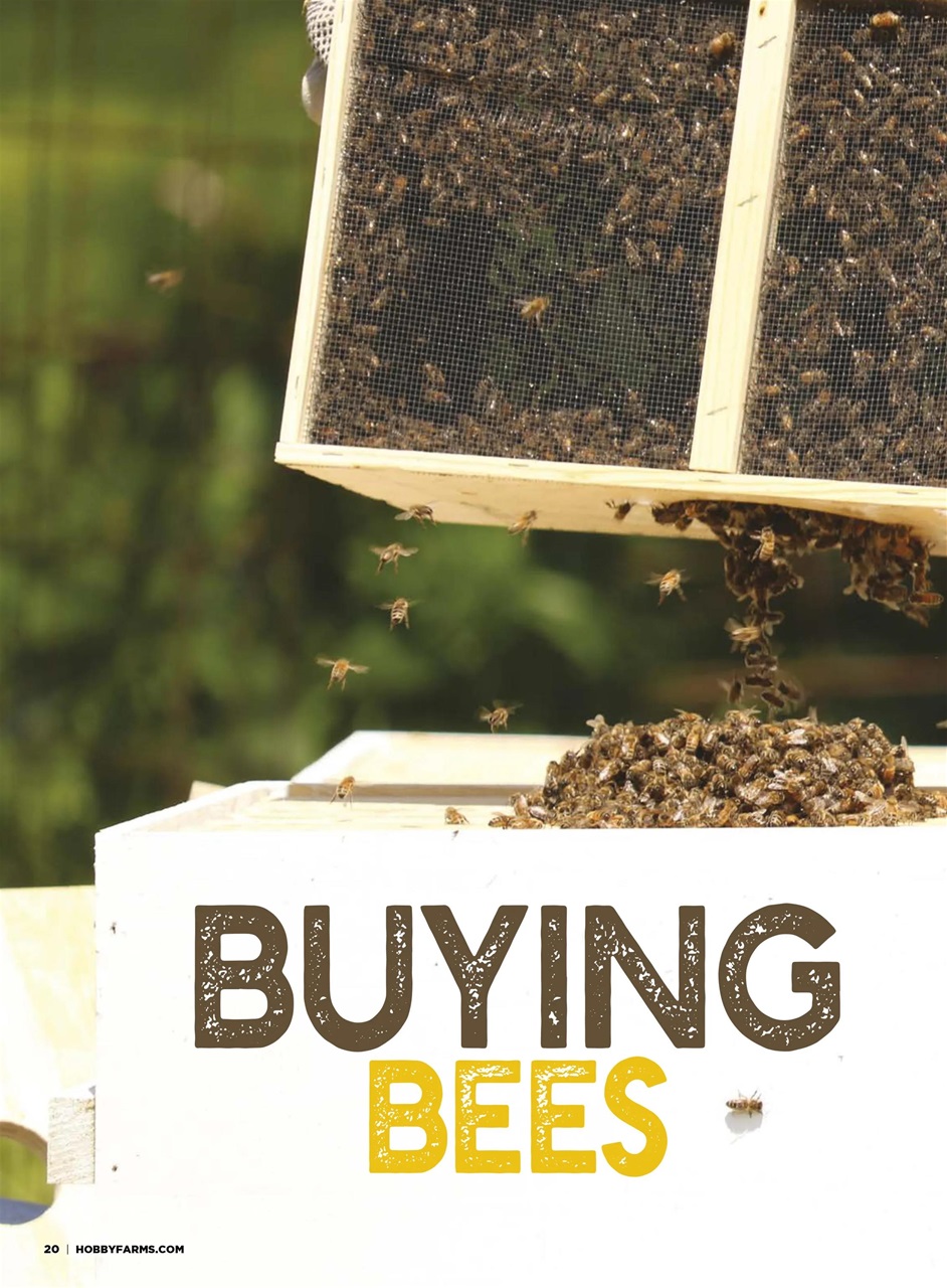 Hobby Farms Magazine - Beekeeping 101 Special Issue