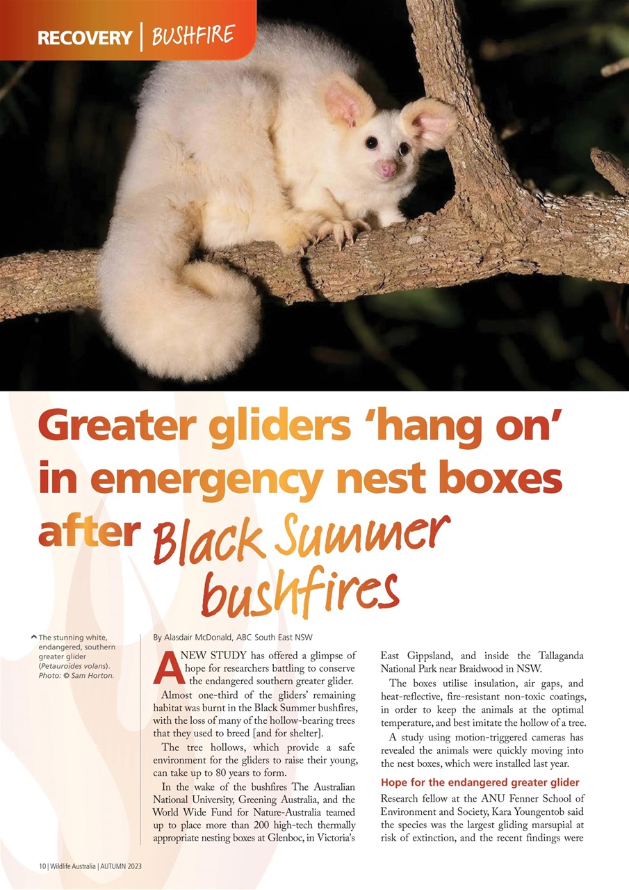 Wildlife Australia Magazine - Wildlife Australia Autumn 2023 Back Issue
