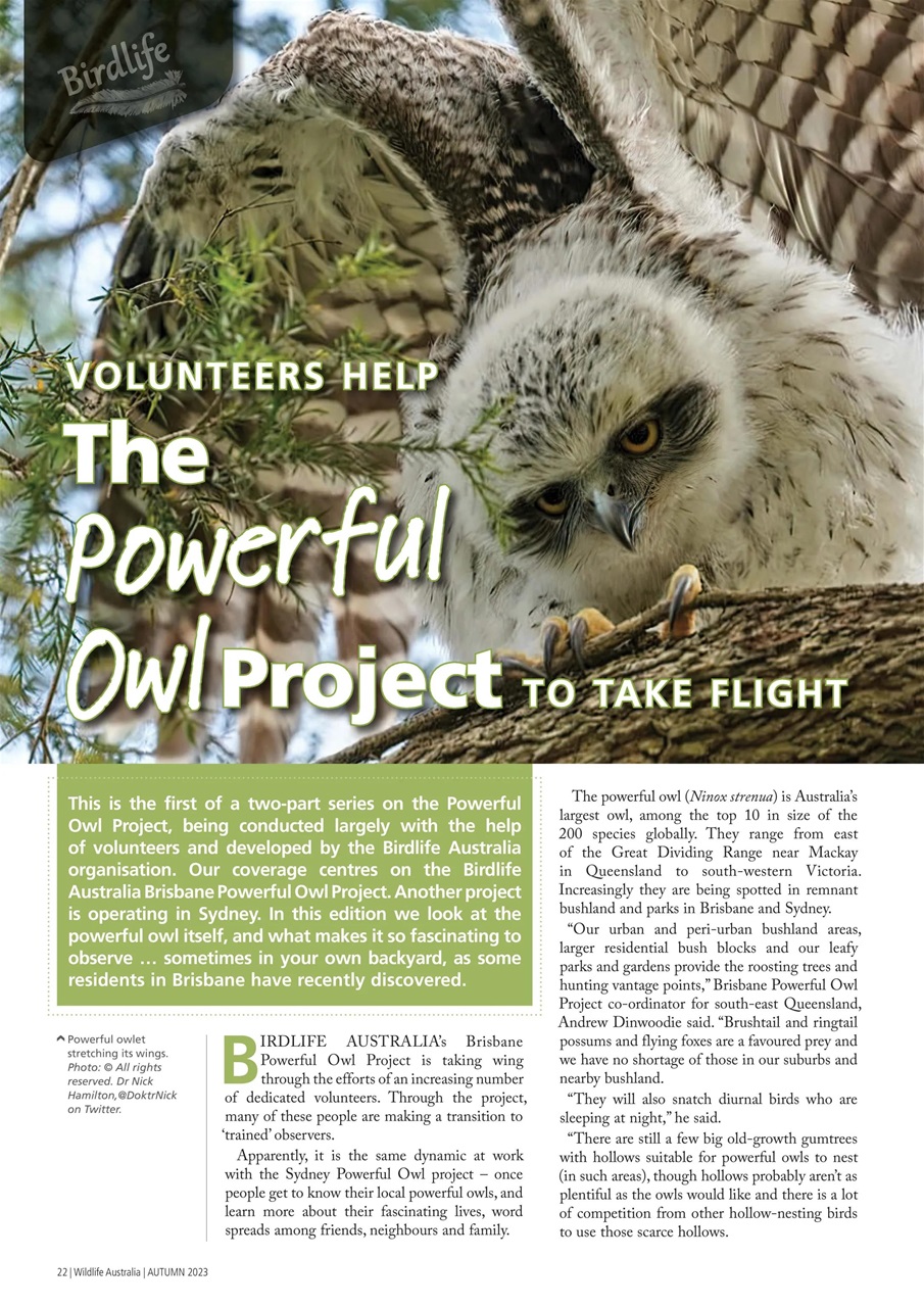 Wildlife Australia Magazine - Wildlife Australia Autumn 2023 Back Issue