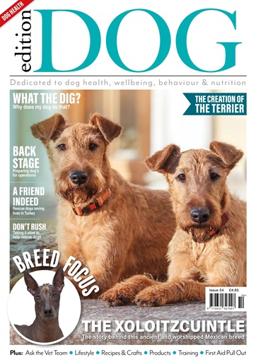 Edition Dog Magazine - Edition Dog Issue 54 Back Issue