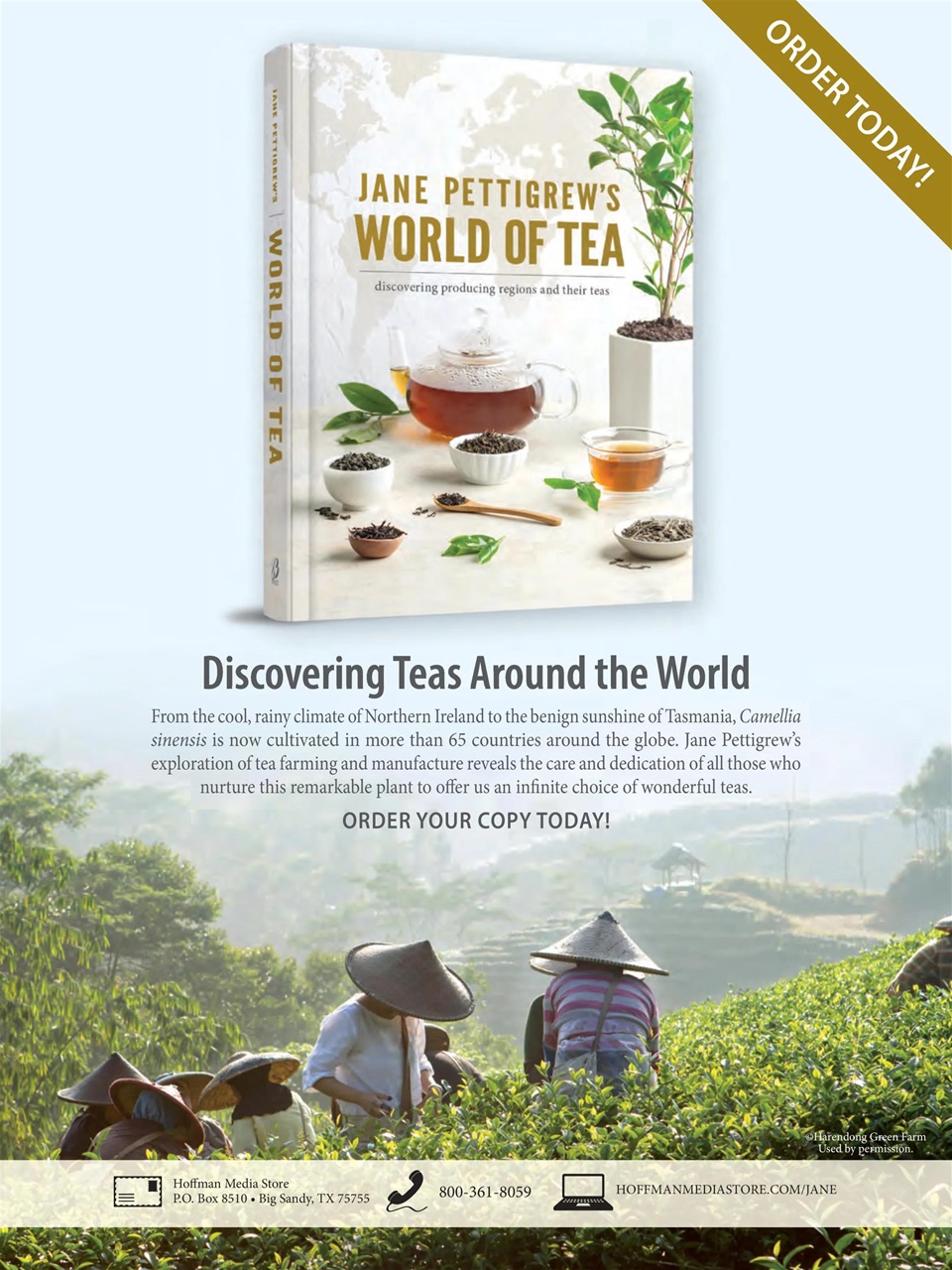 TeaTime Magazine - British Teatimes 2019 Special Issue