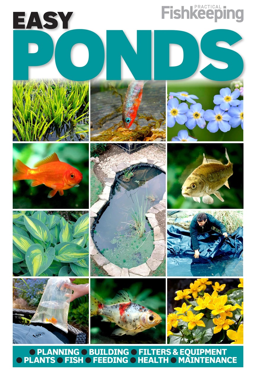Practical Fishkeeping Magazine - Easy Ponds Special Issue
