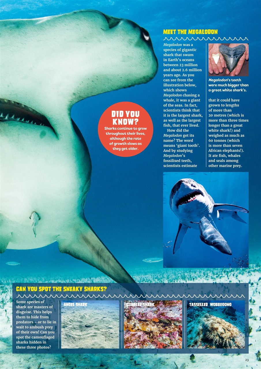 What on Earth! Magazine - FREE Sample Issue Special Issue