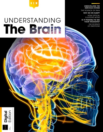 How It Works Bookazine - Understanding The Brain First Edition Back Issue