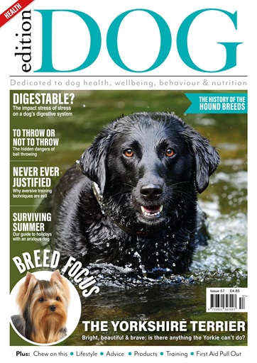 Edition Dog Magazine - Edition Dog Issue 57 Back Issue