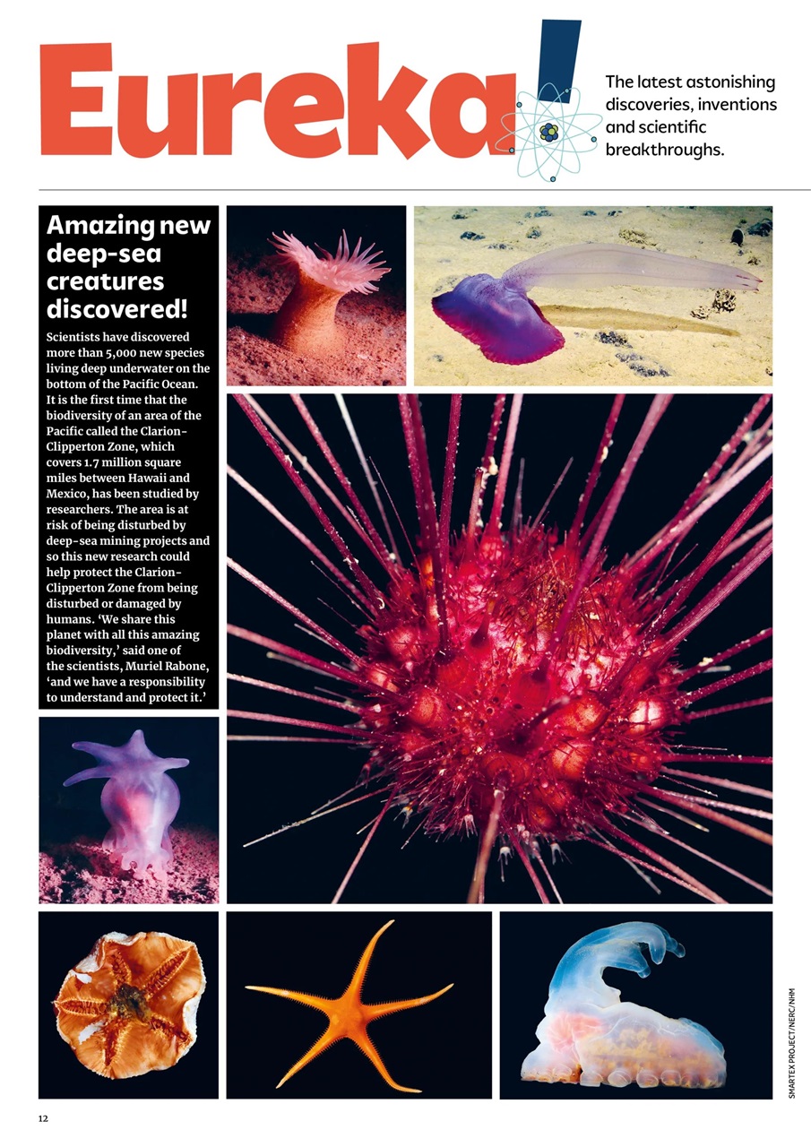 What on Earth! Magazine - Jul/Aug 2023 Back Issue