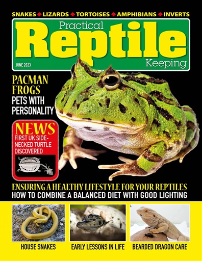 Practical Reptile Keeping Magazine - June 2023 Subscriptions | Pocketmags