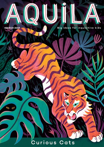 Aquila Magazine - Curious Cats Back Issue