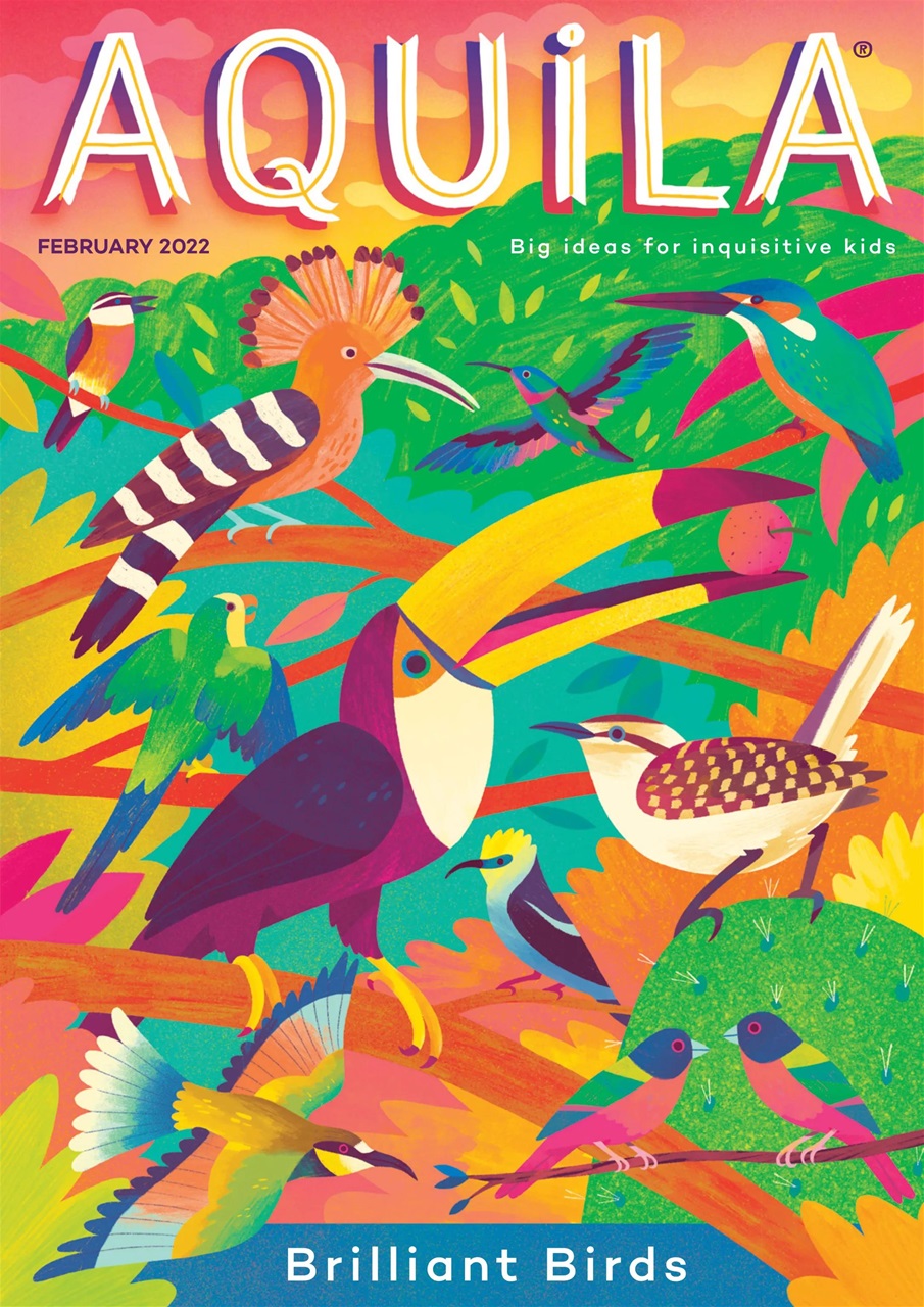 Aquila Magazine - Brilliant Birds Back Issue