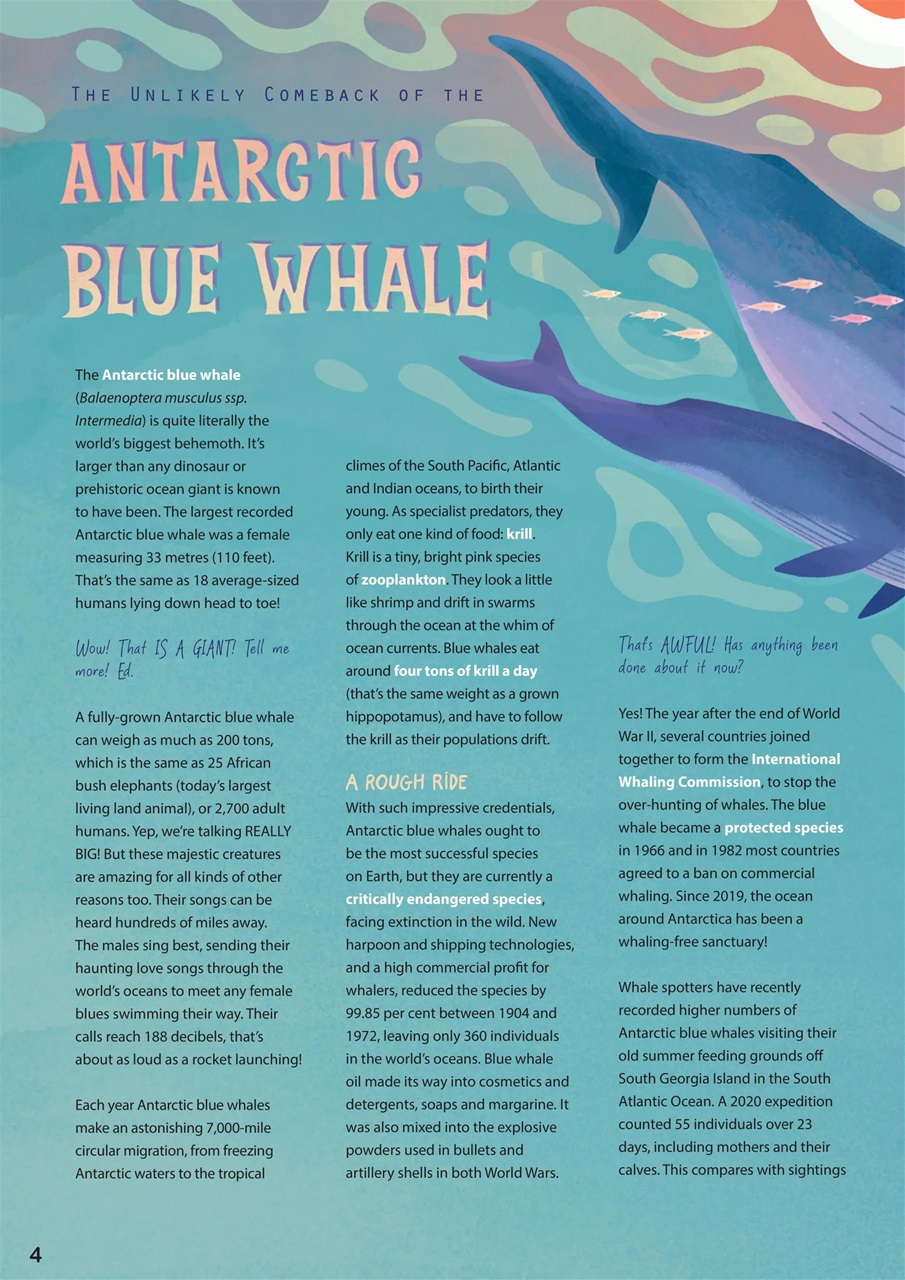 Aquila Magazine - Giants Back Issue