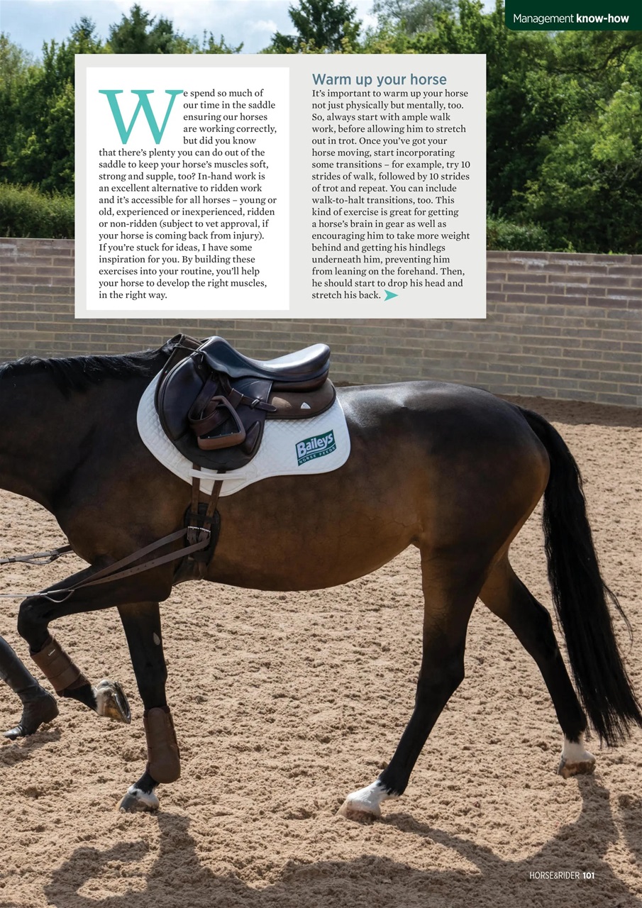 Horse&Rider Magazine - UK equestrian magazine for Horse and Rider ...