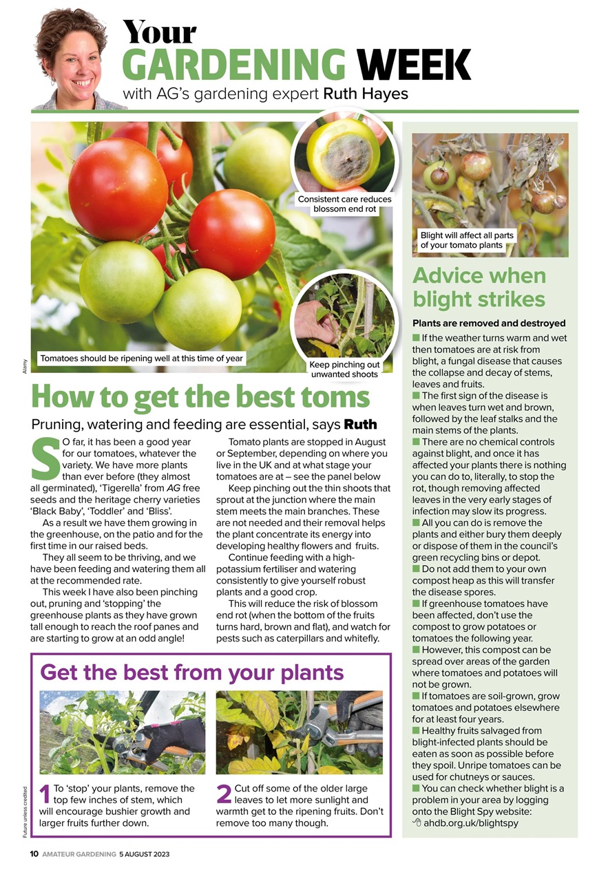 Amateur Gardening Magazine - 5th August 2023 Back Issue