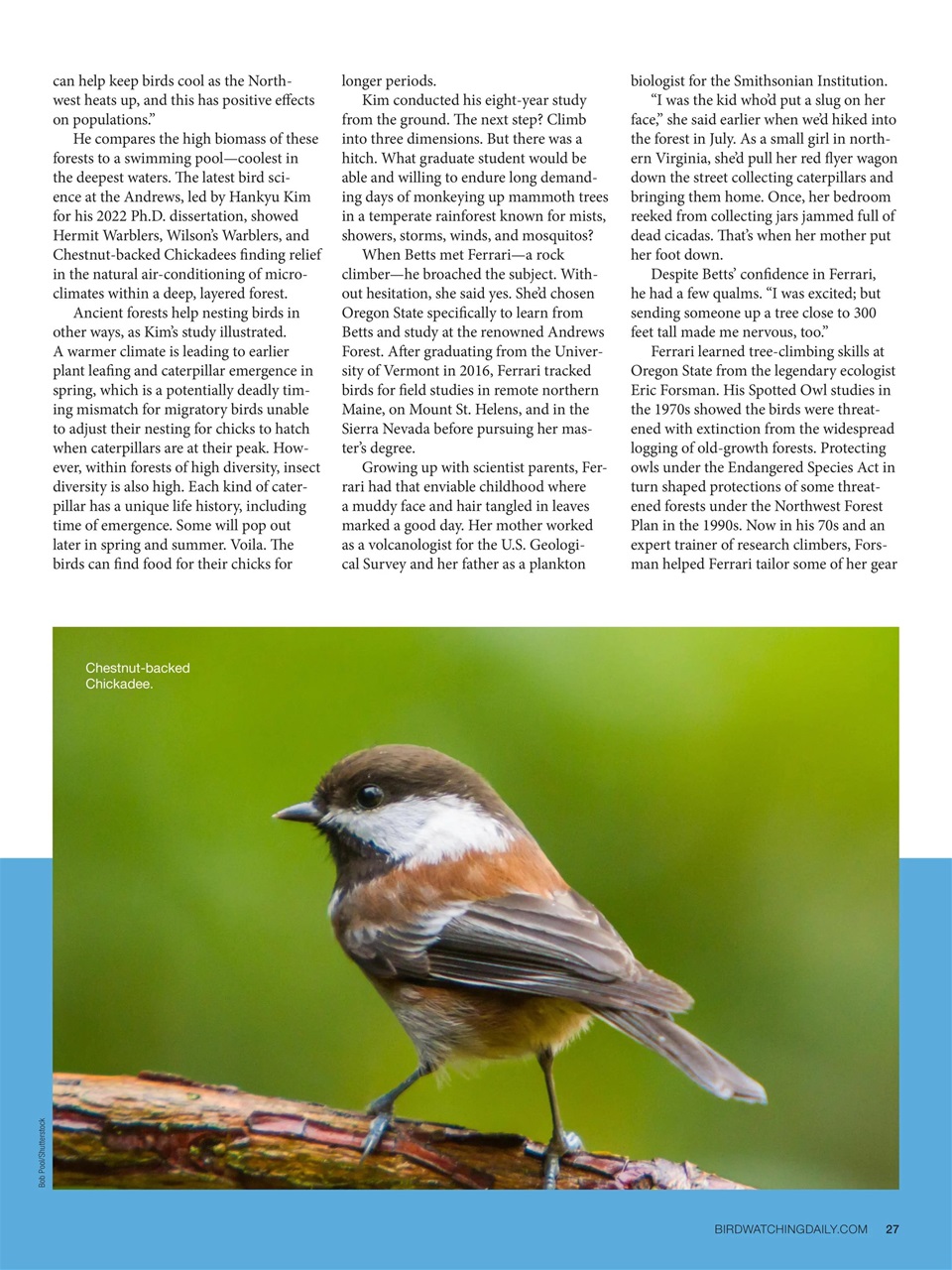 BirdWatching Magazine Subscriptions and July/August 2023 Issue