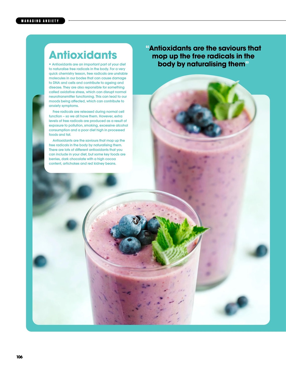 Lifestyle Bookazine - The Complete Anti-Anxiety Guide First Edition Back Issue