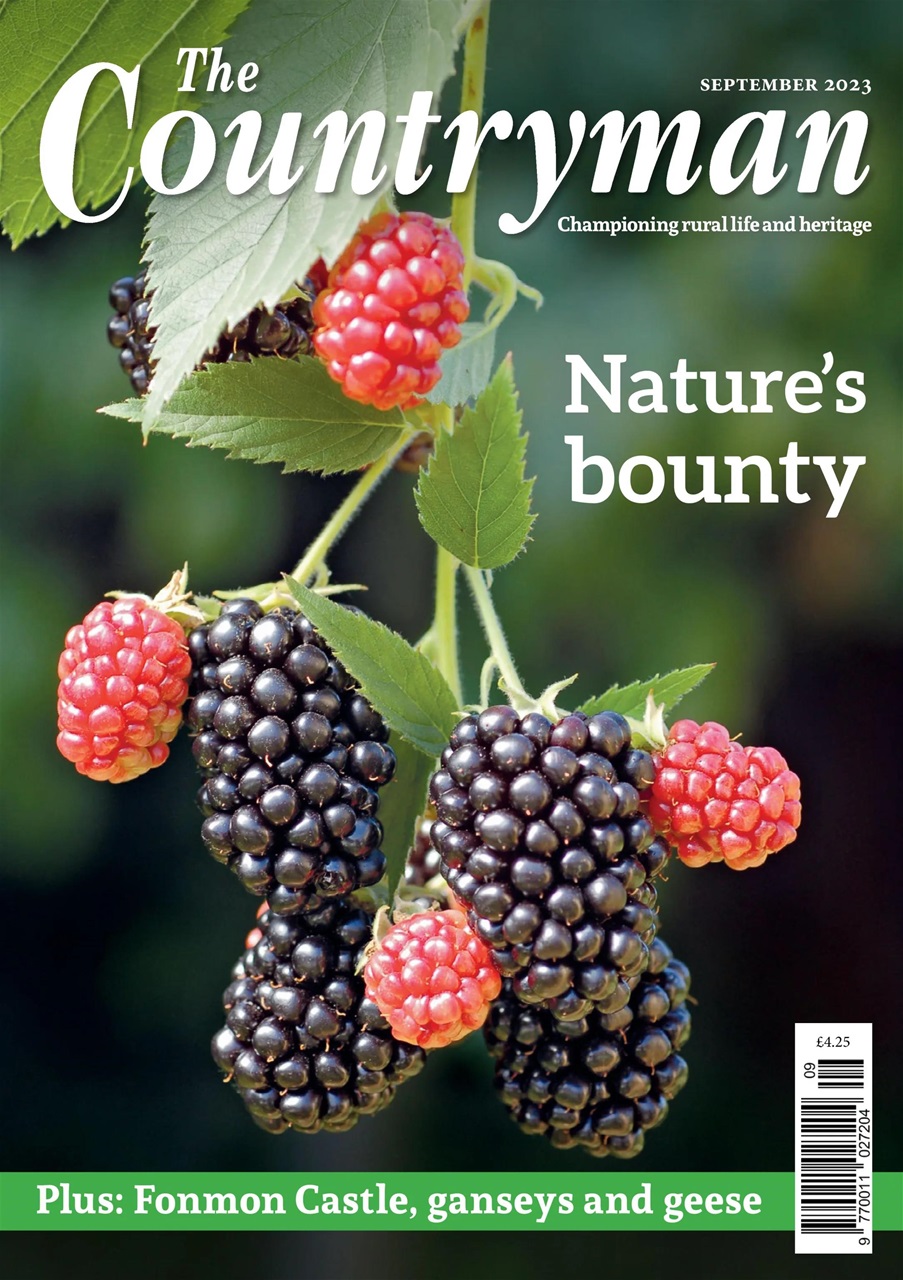 The Countryman Magazine - September 2023 Back Issue