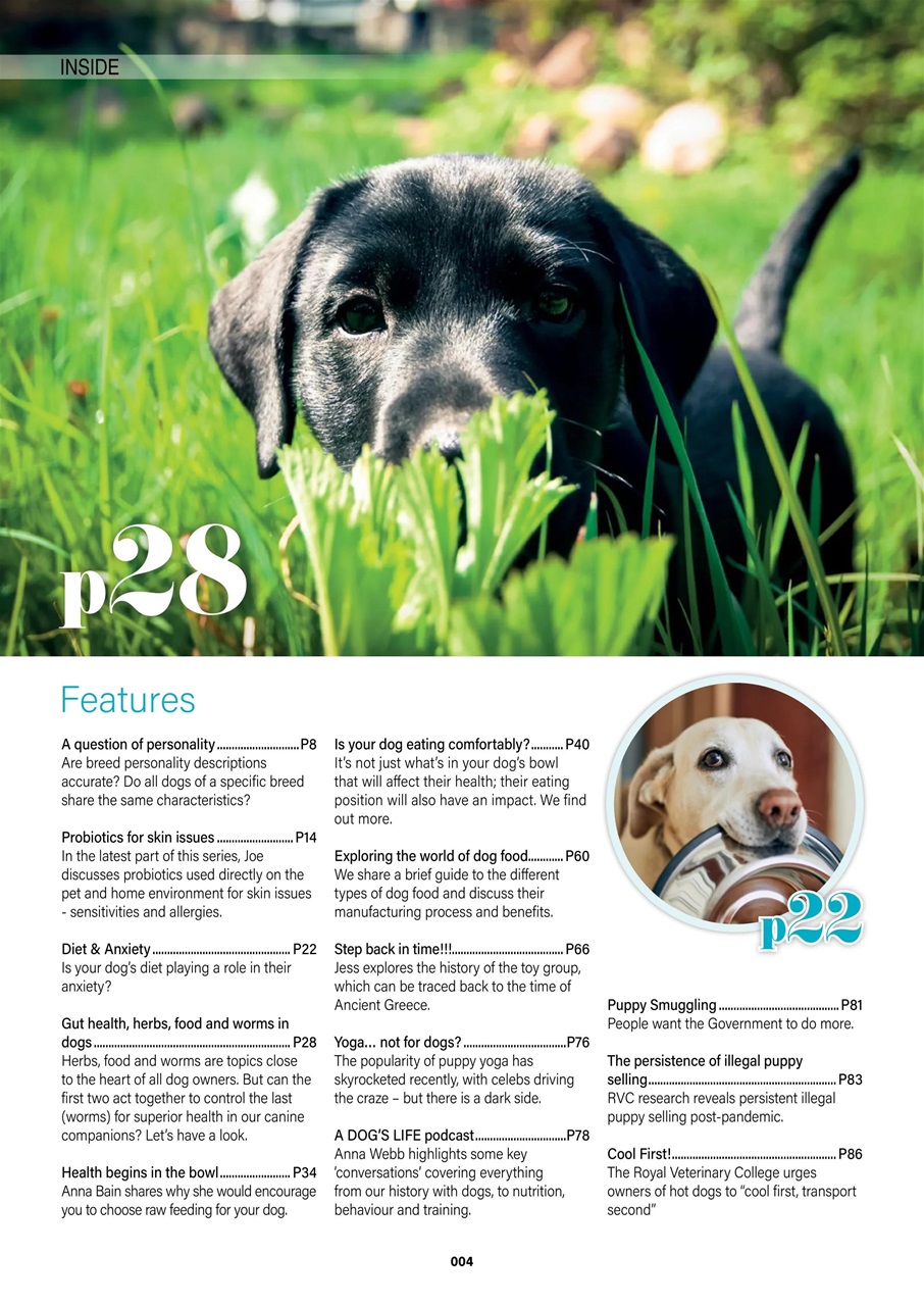 Edition Dog Magazine - Edition Dog Issue 59 Back Issue