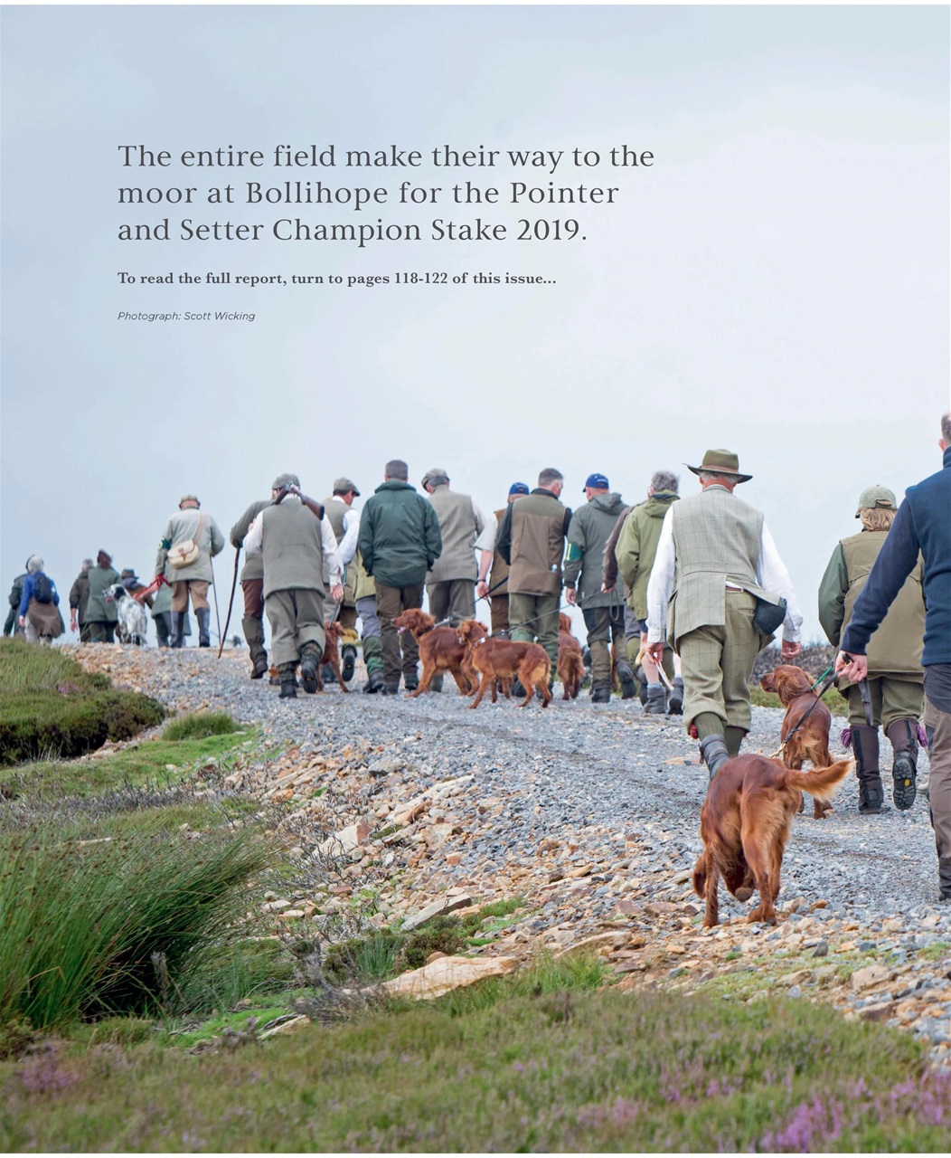 Gundog Journal Magazine - Volume I Issue III Back Issue