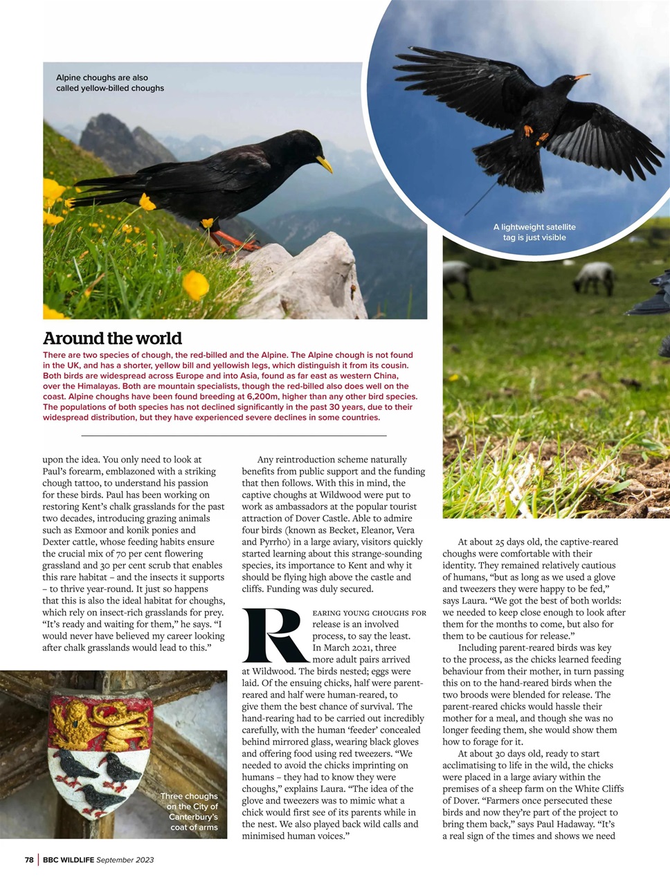 BBC Wildlife Magazine - September 2023 Back Issue