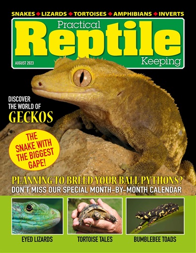 Practical Reptile Keeping Magazine - August 2023 Subscriptions | Pocketmags