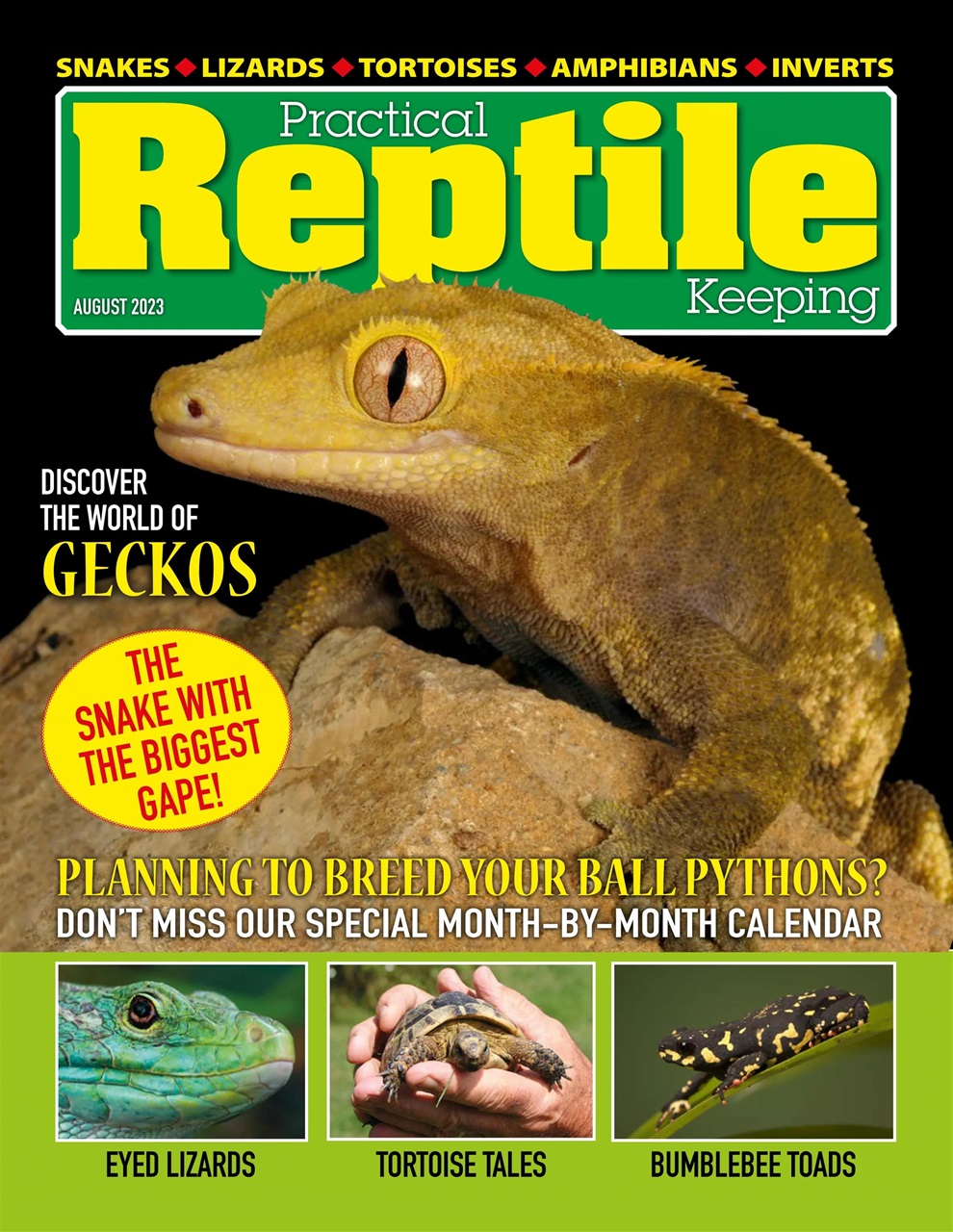 Practical Reptile Keeping Magazine - August 2023 Back Issue