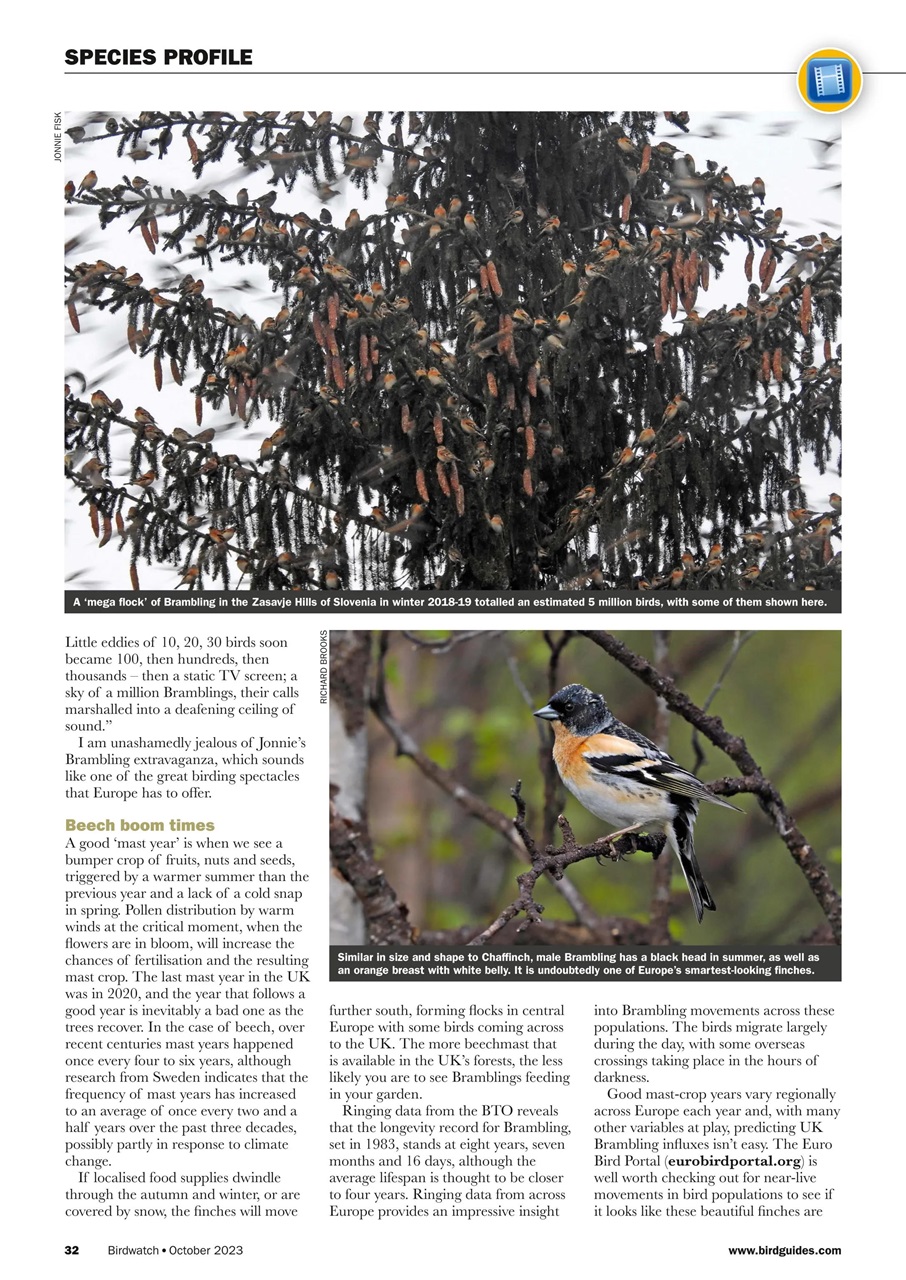 Birdwatch Magazine - October 2023 Back Issue