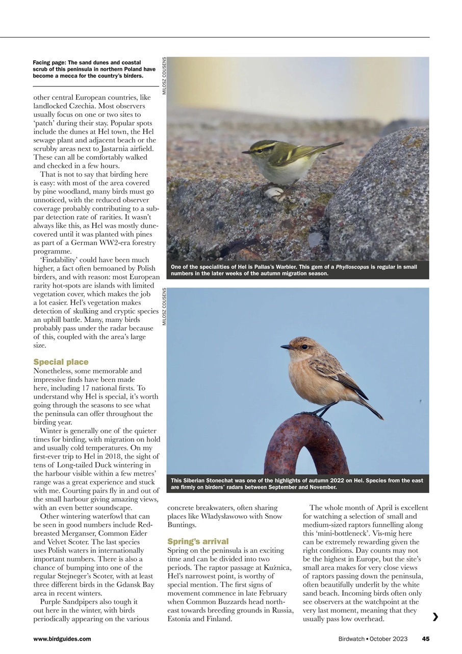 Birdwatch Magazine - October 2023 Back Issue