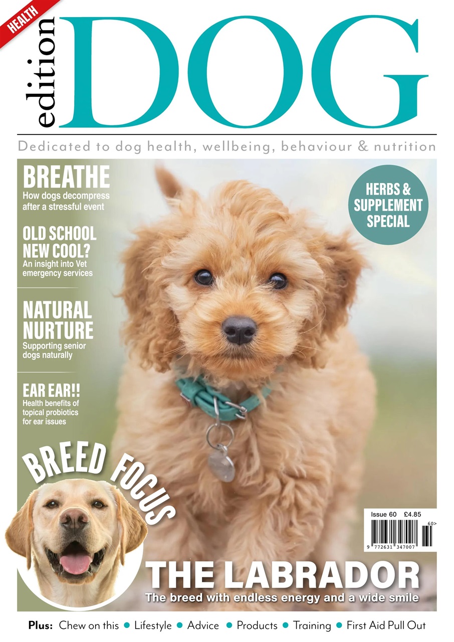Edition Dog Magazine - Edition Dog Issue 60 Back Issue