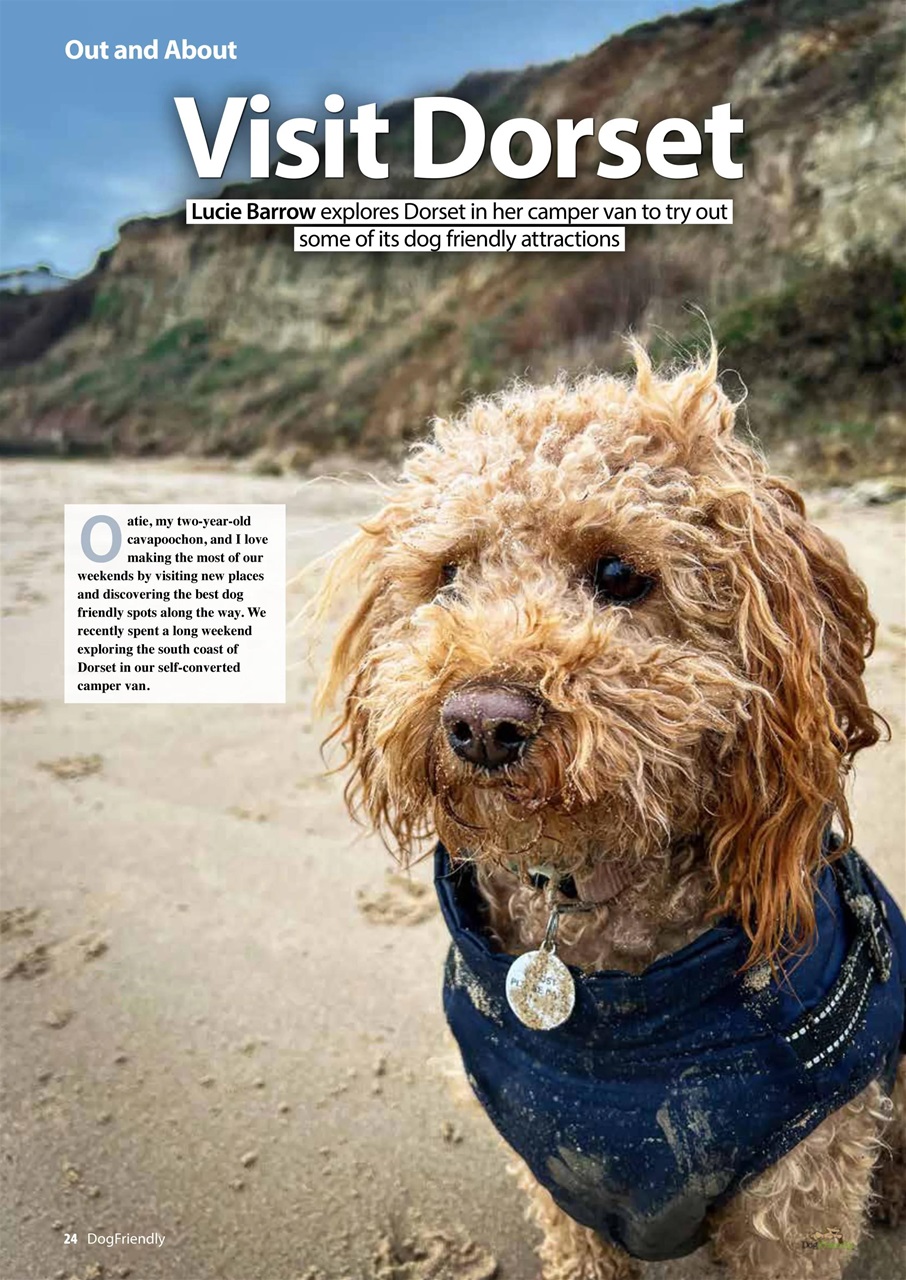 Dog Friendly Magazine - Sep-Oct 23 Back Issue