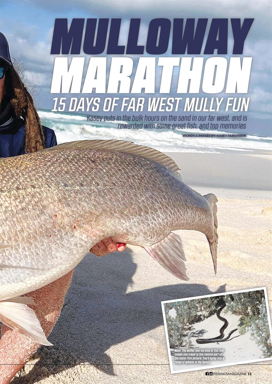 Fishing SA Magazine - Fishing SA Oct/Nov 2023 Back Issue