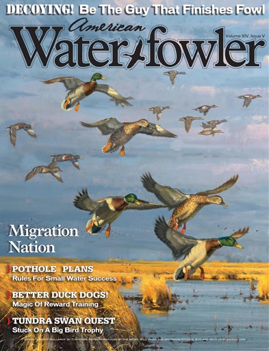 American Waterfowler Magazine - Vol XIV, Issue V Back Issue