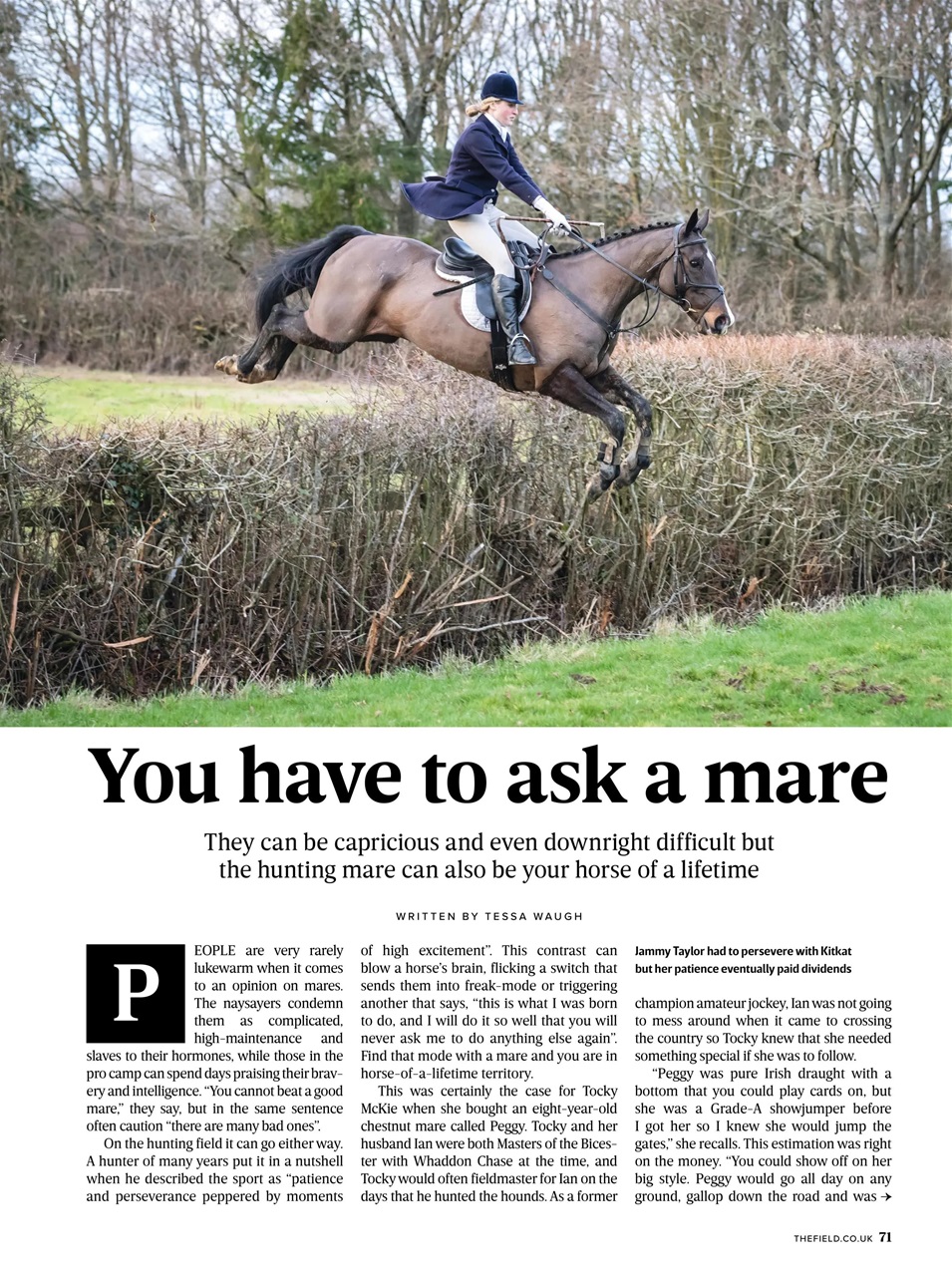 The Field Magazine - November 2023 Back Issue