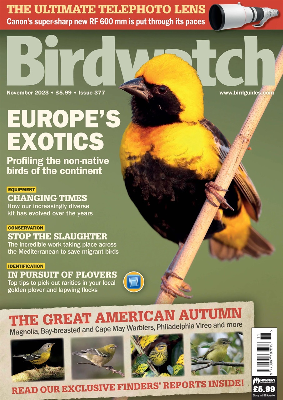 Birdwatch Magazine - November 2023 Back Issue