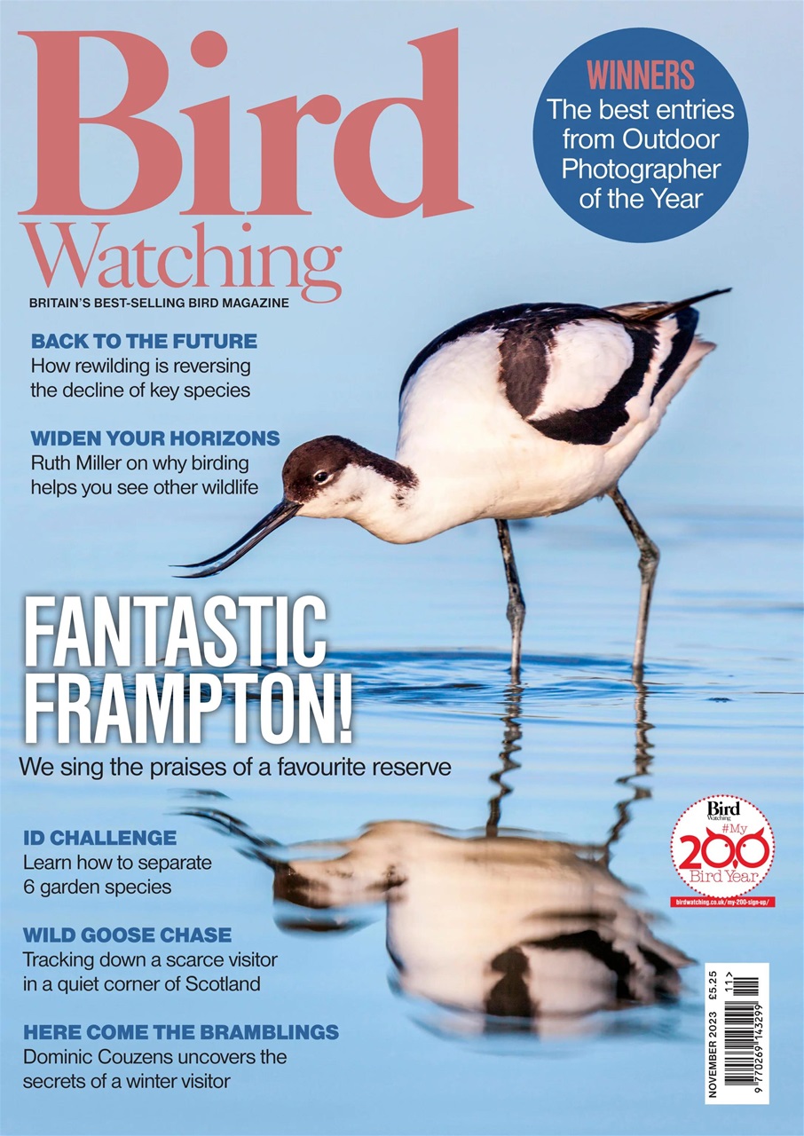 Bird Watching Magazine - Nov-23 Subscriptions | Pocketmags