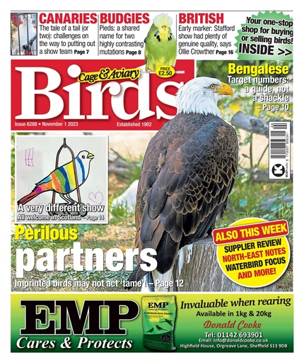 Cage & Aviary Birds Magazine - 1-Nov-23 Back Issue