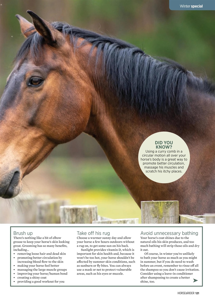 Horse&Rider Magazine - UK equestrian magazine for Horse and Rider ...
