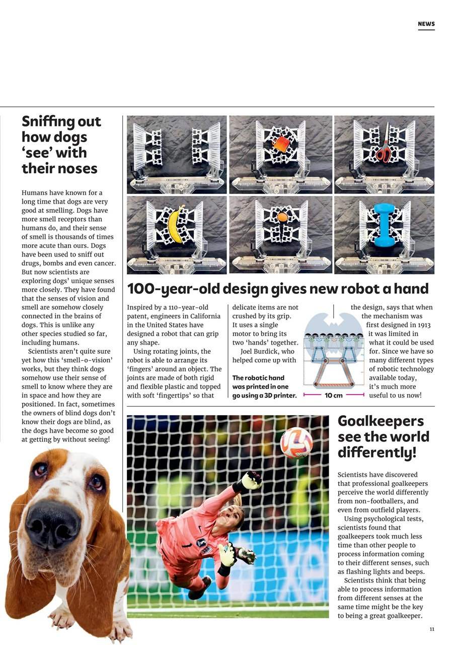 What on Earth! Magazine - November 2023 Back Issue