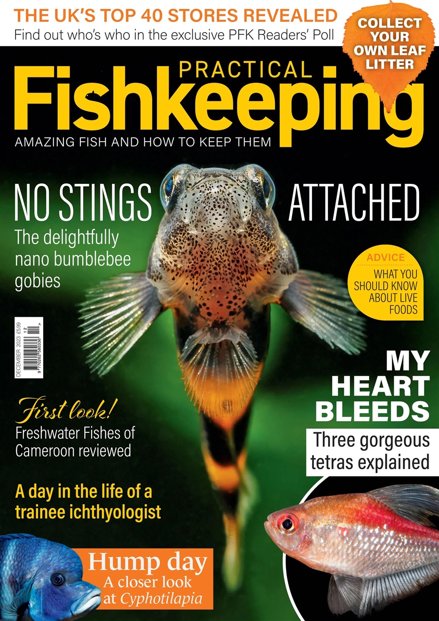 Practical Fishkeeping Magazine - December 2023 Back Issue