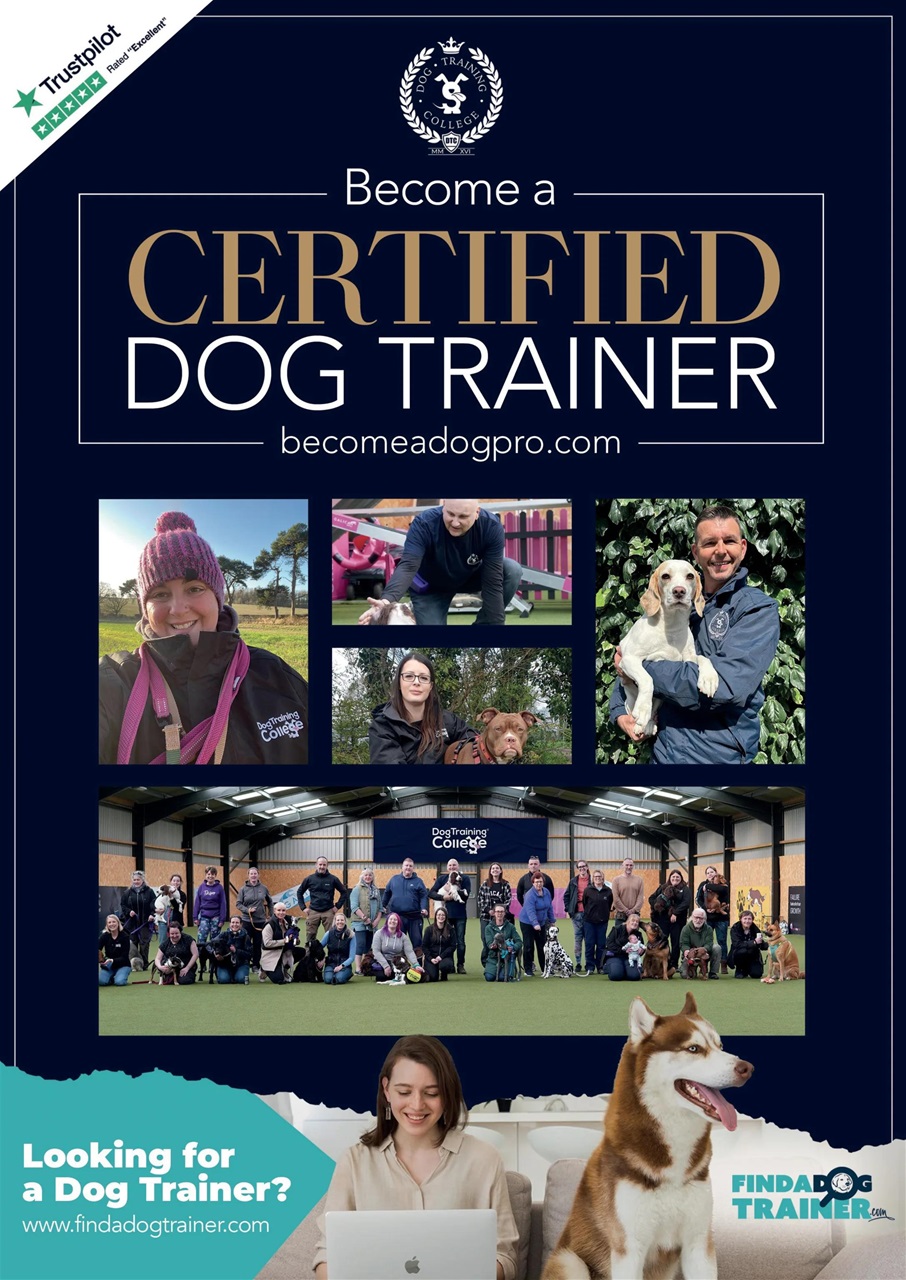 Dogs Today Magazine - November 2023 Back Issue