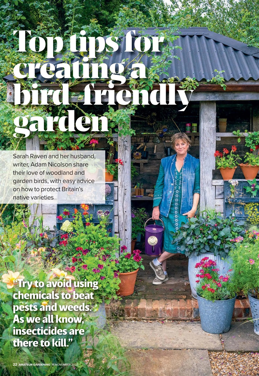Amateur Gardening Magazine - 18th November 2023 Back Issue