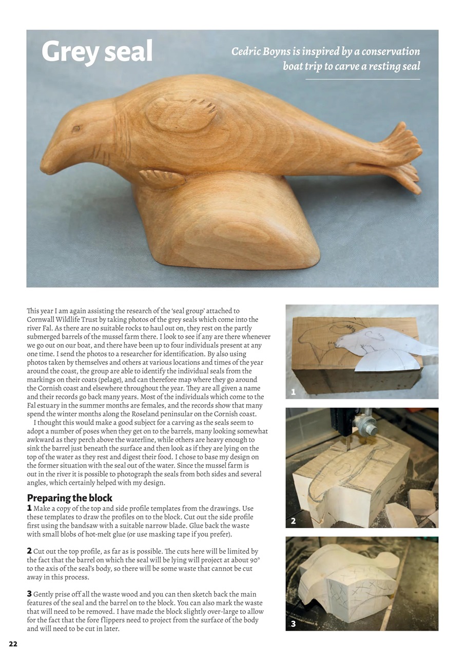 Woodcarving Magazine - Issue 197 Subscriptions | Pocketmags