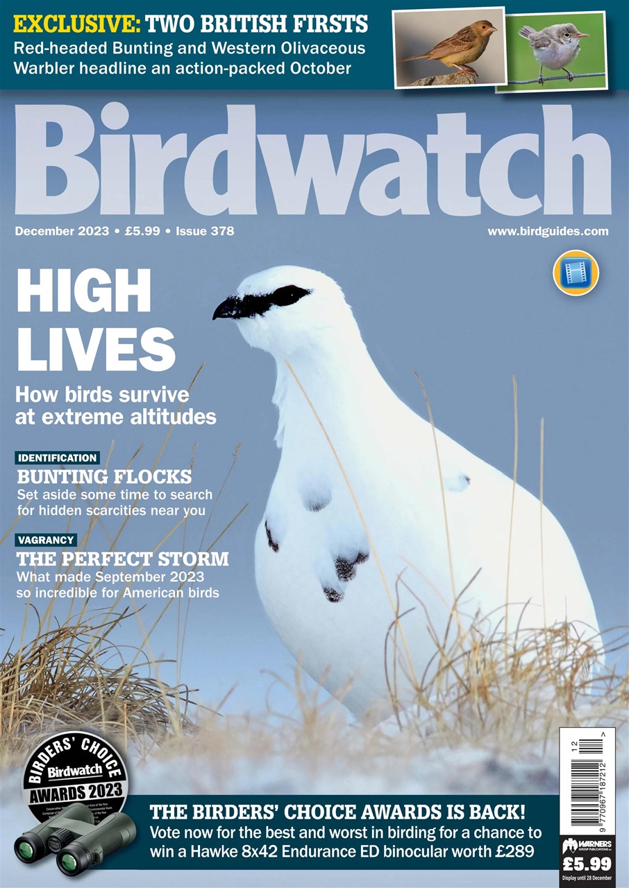 Birdwatch Magazine - December 2023 Back Issue