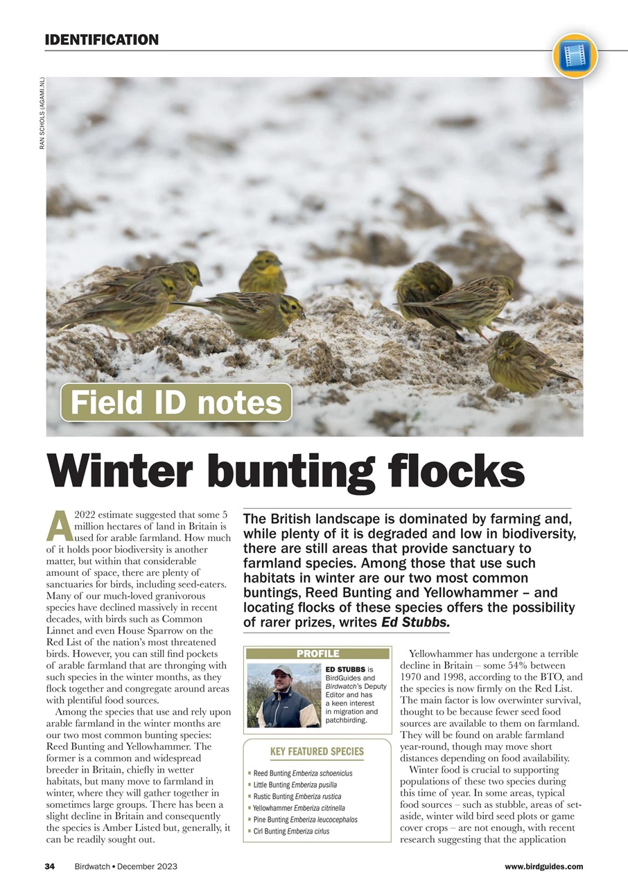 Birdwatch Magazine - December 2023 Back Issue