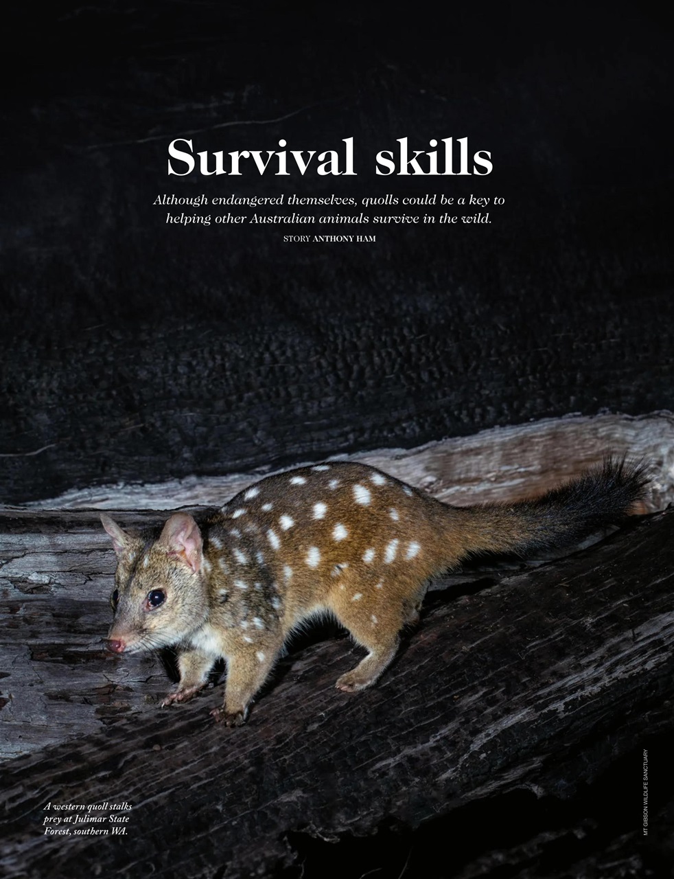 OUTBACK Magazine - OUTBACK 152 Subscriptions | Pocketmags