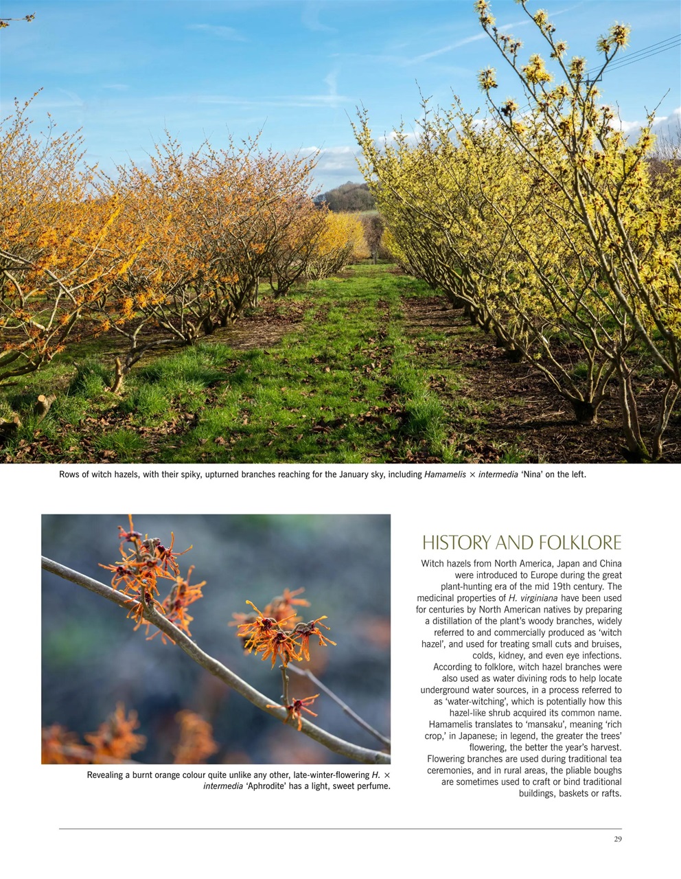 LandScape Magazine - Jan-24 Back Issue