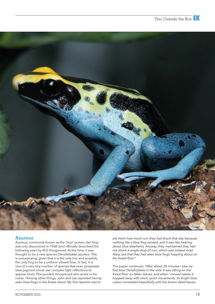 Exotics Keeper Magazine - November 2023 Back Issue