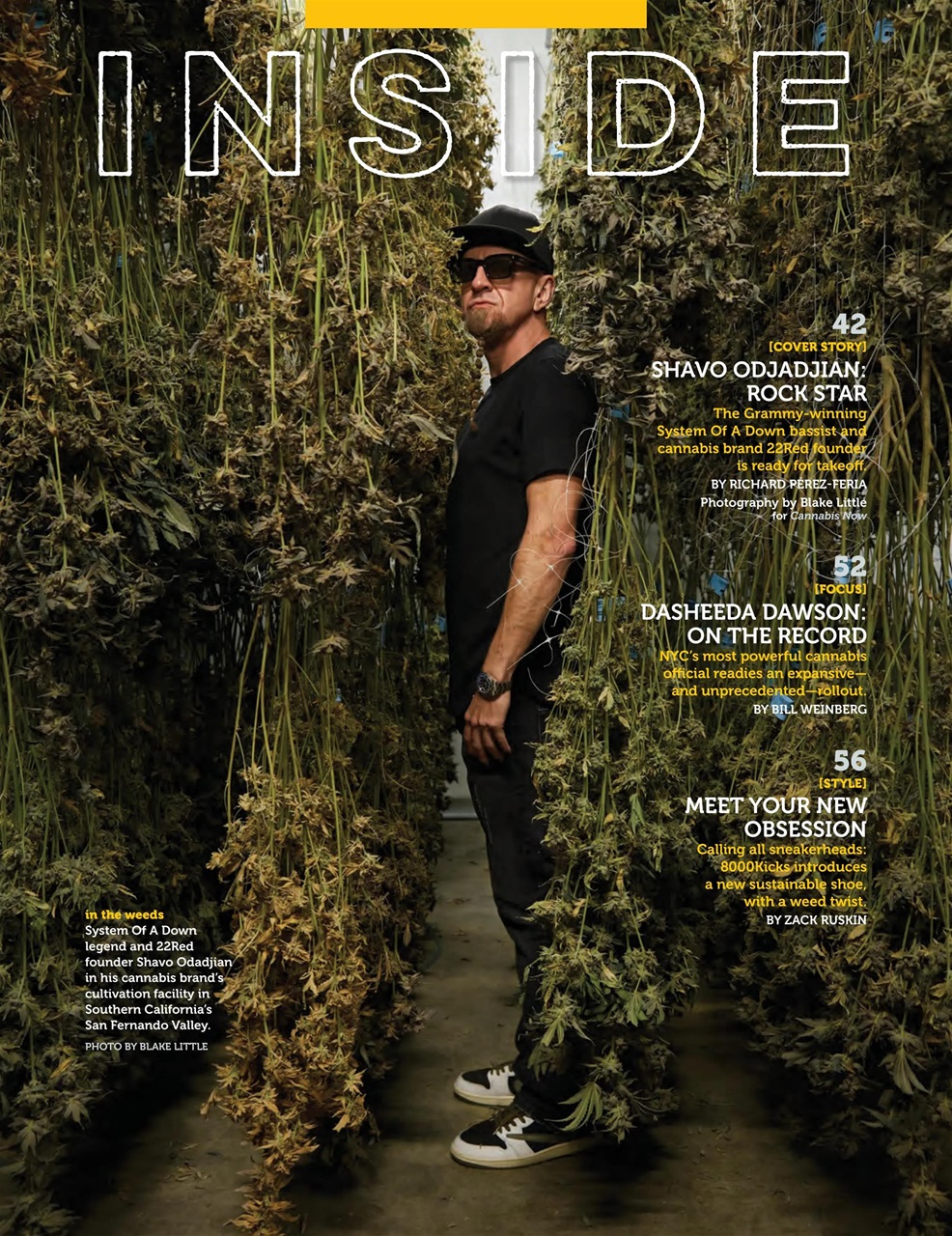 Cannabis Now Magazine Subscriptions and Issue 49 Issue