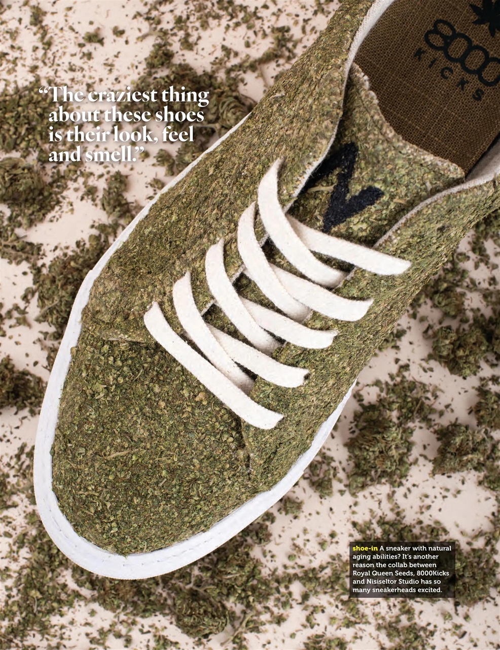 Cannabis Now Magazine Subscriptions and Issue 49 Issue