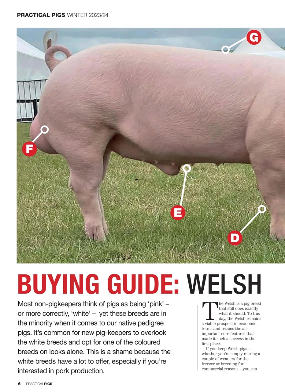 Practical Pigs Magazine - Winter 2023 Back Issue