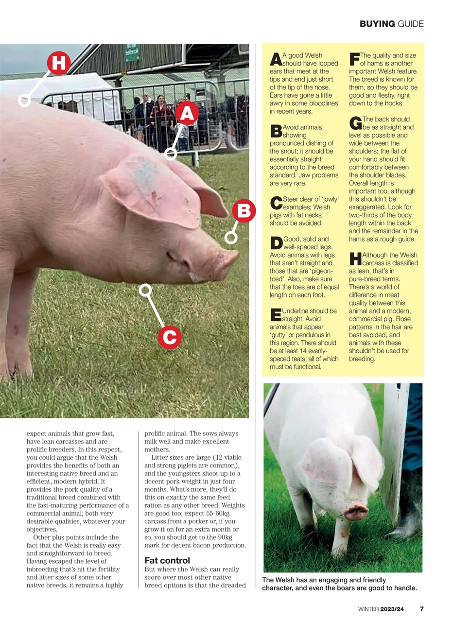 Practical Pigs Magazine - Winter 2023 Back Issue